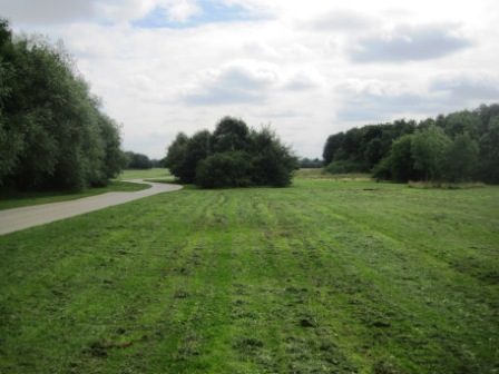 SOLIHULL BUSINESS PARK/HILLFIELDS LOCAL NATURE RESERVE – Ken Hawkins