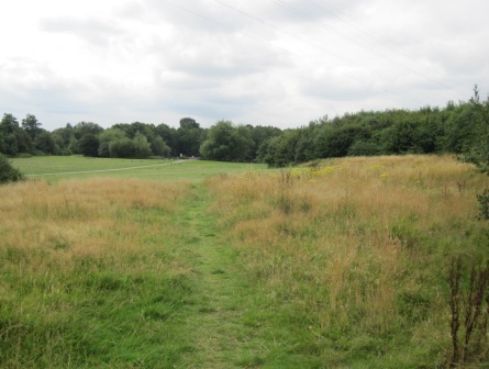 SOLIHULL BUSINESS PARK/HILLFIELDS LOCAL NATURE RESERVE – Ken Hawkins