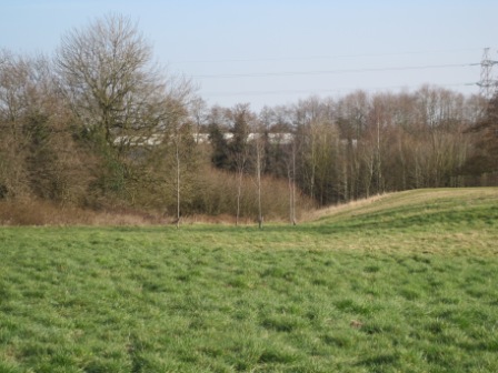 SOLIHULL BUSINESS PARK/HILLFIELDS LOCAL NATURE RESERVE – Ken Hawkins