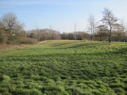 SOLIHULL BUSINESS PARK/HILLFIELDS LOCAL NATURE RESERVE – Ken Hawkins