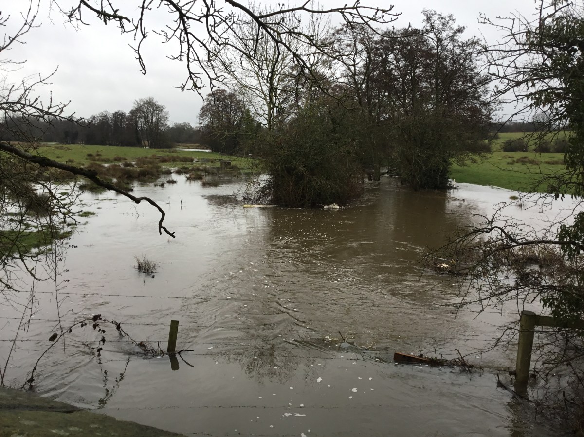 Solihull – Section 19 Flood Report – Ken Hawkins